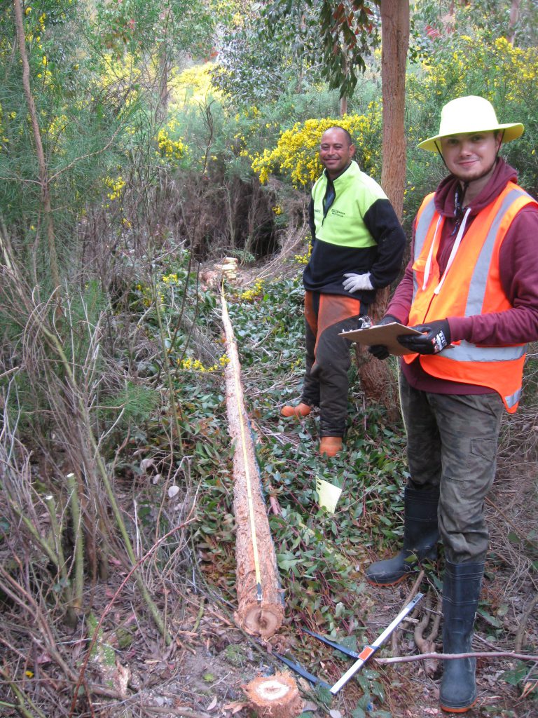 New PhD students get to work - NZ Dryland Forests Innovation
